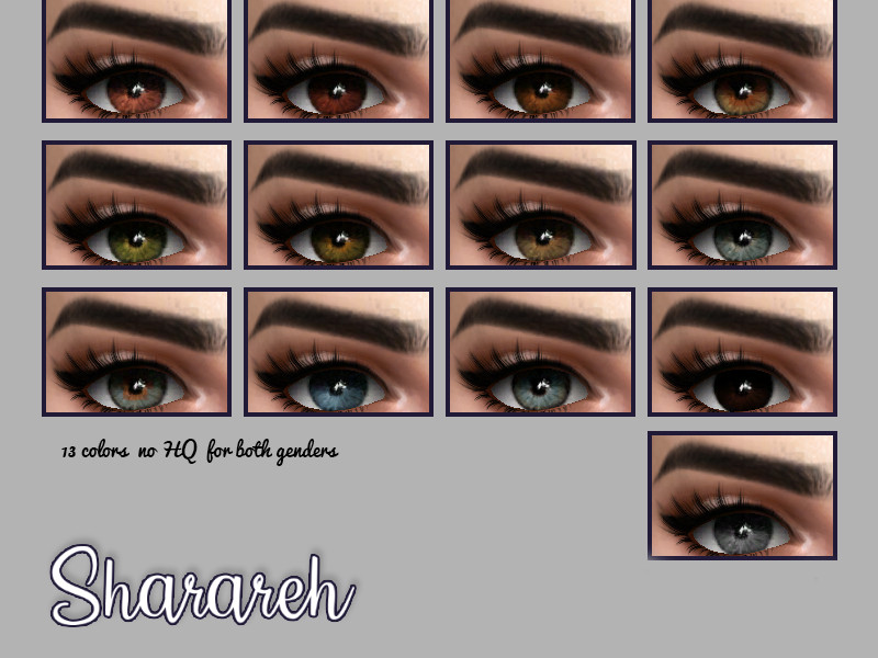 Sharareh's Trace eyes